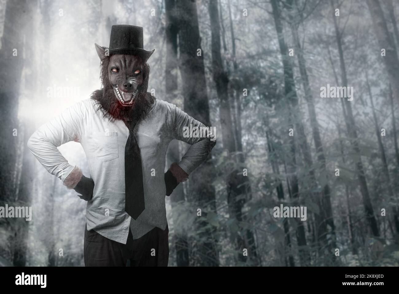 A werewolf in the forest with dramatic scene background. Halloween ...