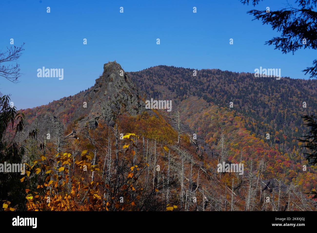 The Chimney Tops Trail and its woods and nature, on the background of a ...