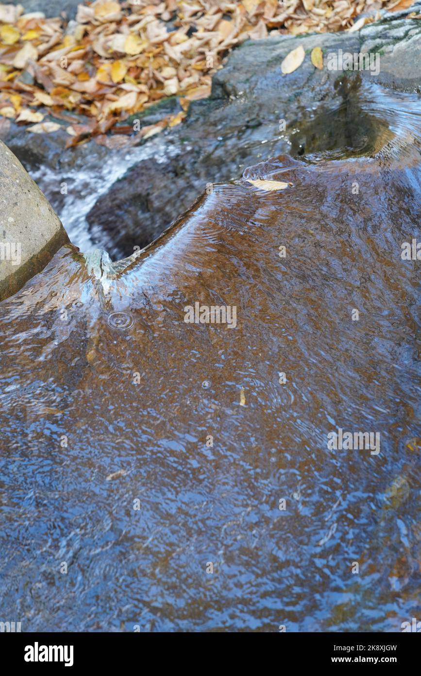 The water running through stream rocks and leaves Stock Photo - Alamy