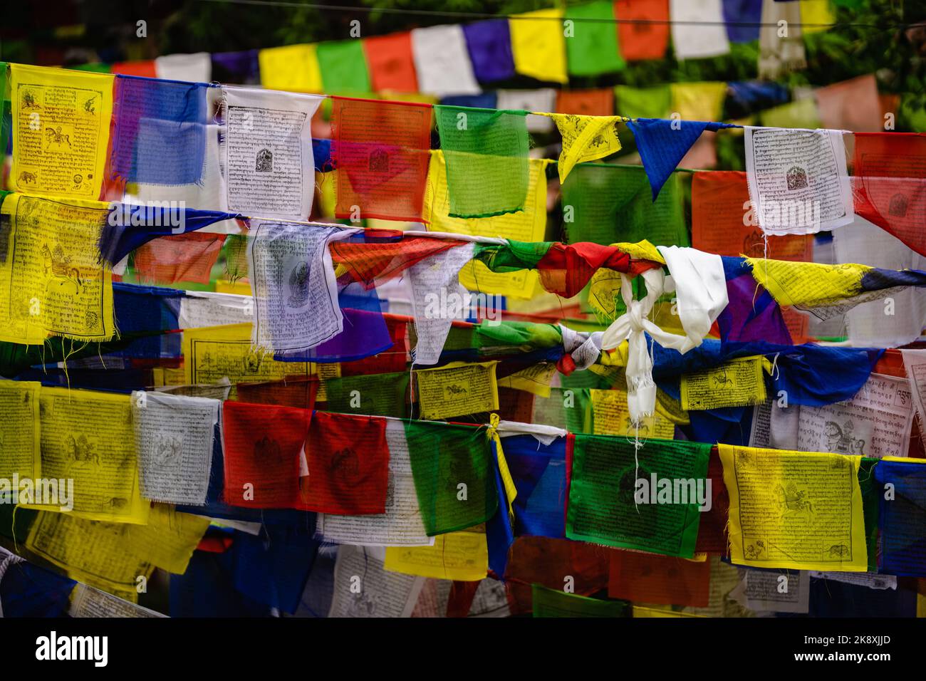 The Tibetan Buddhist Prayer flags at Maya Devi Temple in the Birthplace ...