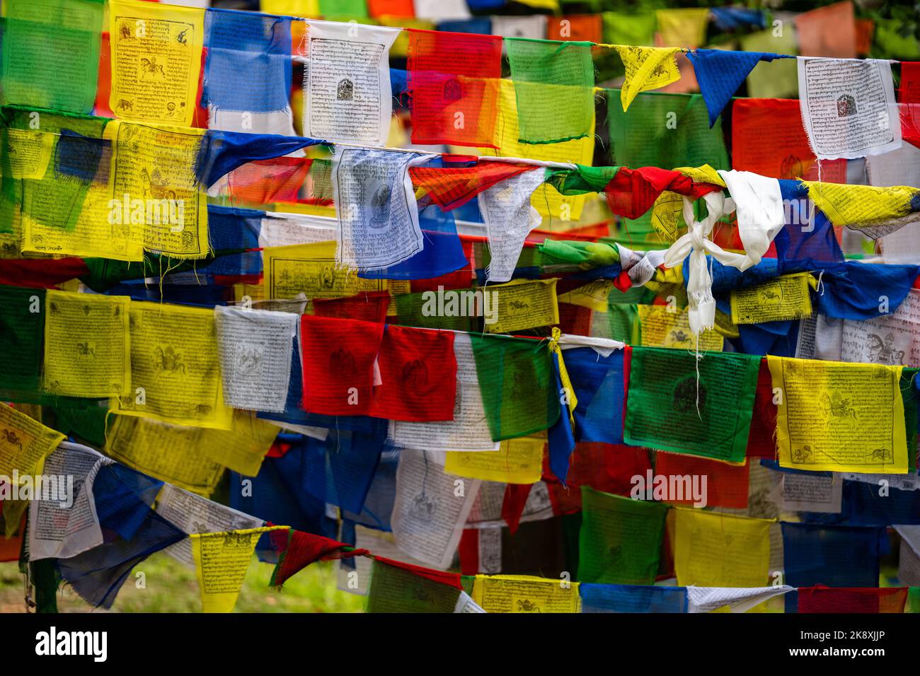 The Tibetan Prayer flags at Maya Devi Temple in the Birthplace of ...