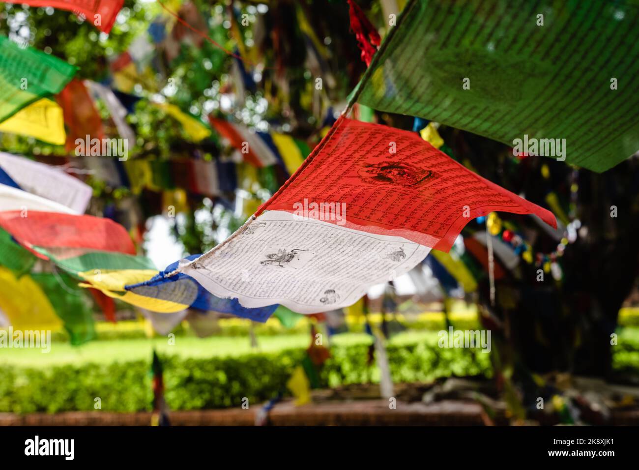 The Tibetan Prayer flags at Maya Devi Temple, the Birthplace of Gautama ...