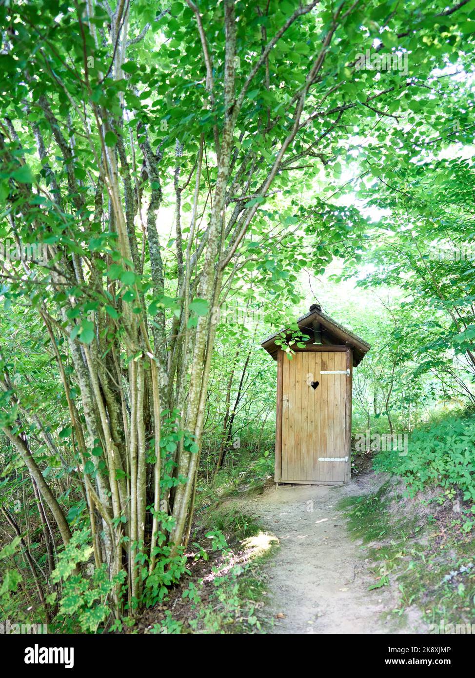 Toilet in trees hi-res stock photography and images - Alamy