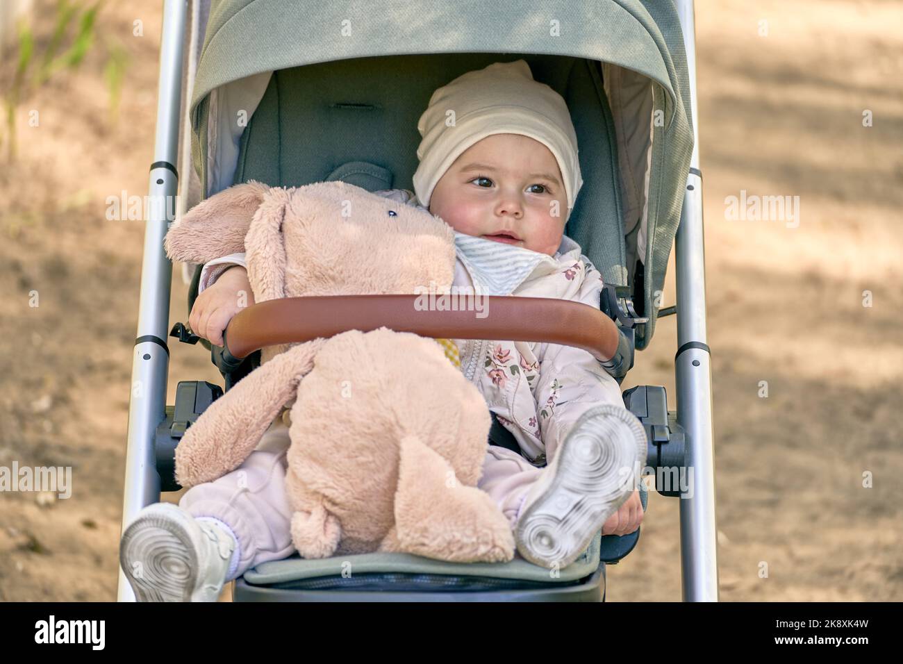 A cute Caucasian baby girl sitting in a buggy with her favorite toy ...
