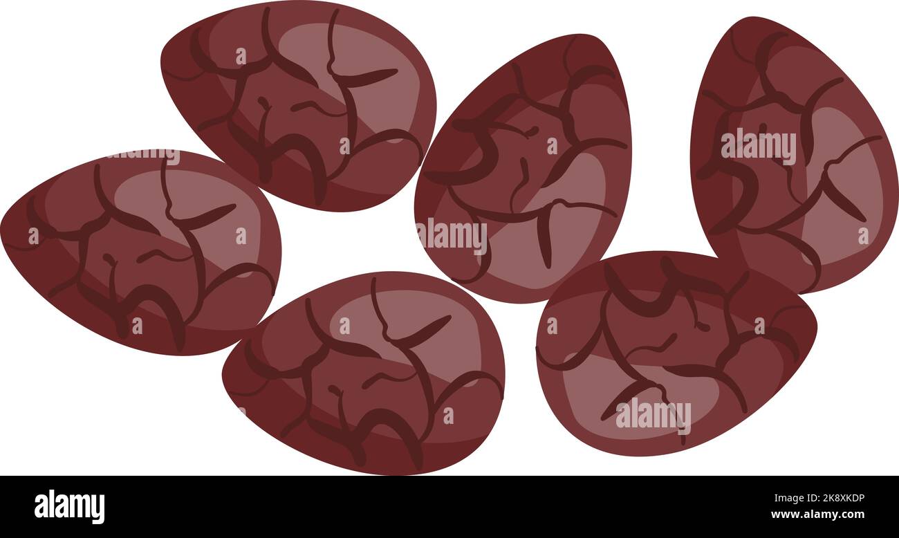 Cocoa seed icon cartoon vector. Plant flavor Stock Vector Image & Art ...