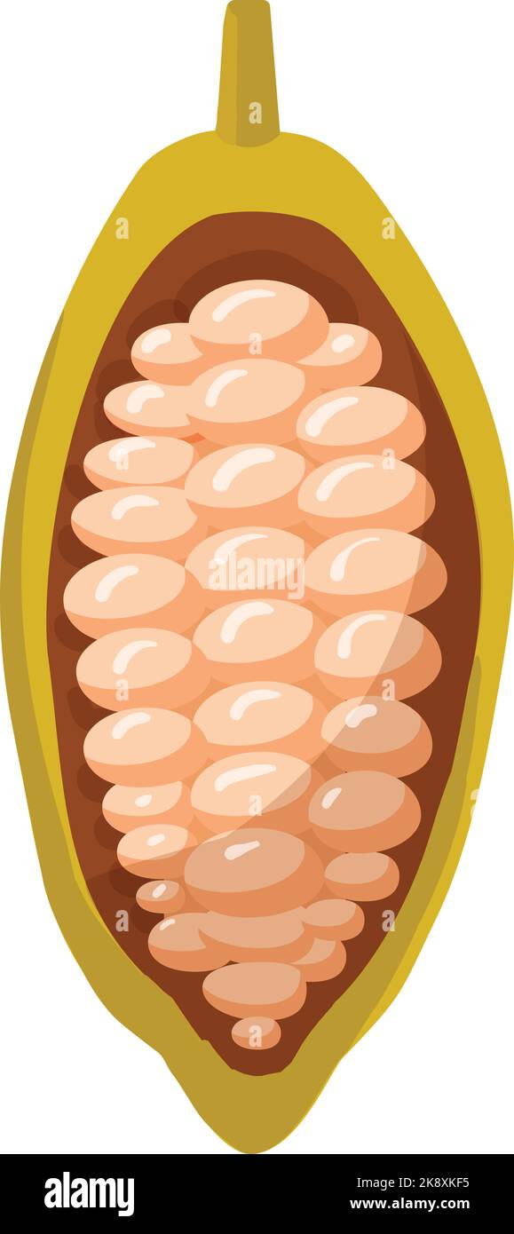 Raw cacao fruit icon cartoon vector. Chocolate plant Stock Vector Image ...
