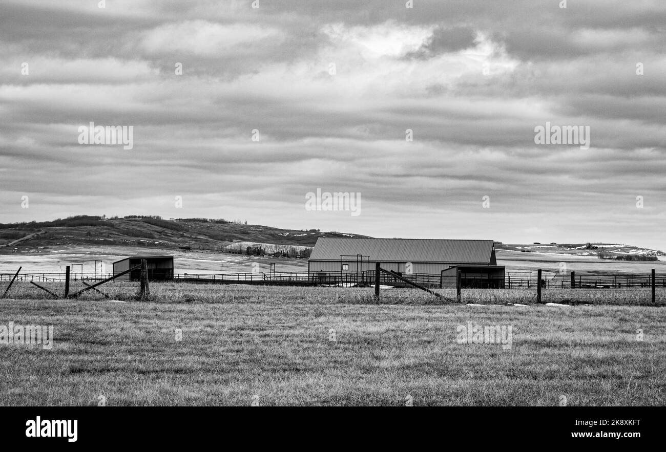 A grayscale shot of a field under a cloudy sky in a countryside Stock ...