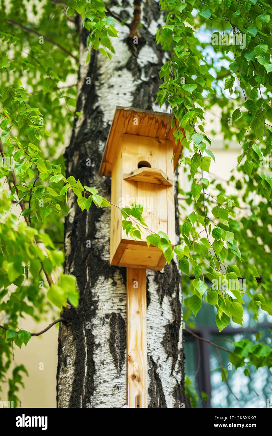 Wooden birdhouse on tree. Bird house hanging on birch tree with green ...