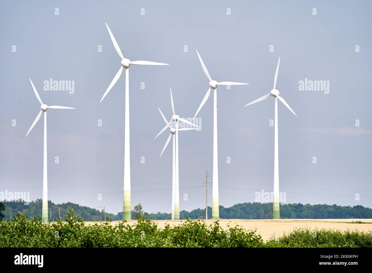 Some wind turbines in the farm with bushes around and clear sky ...