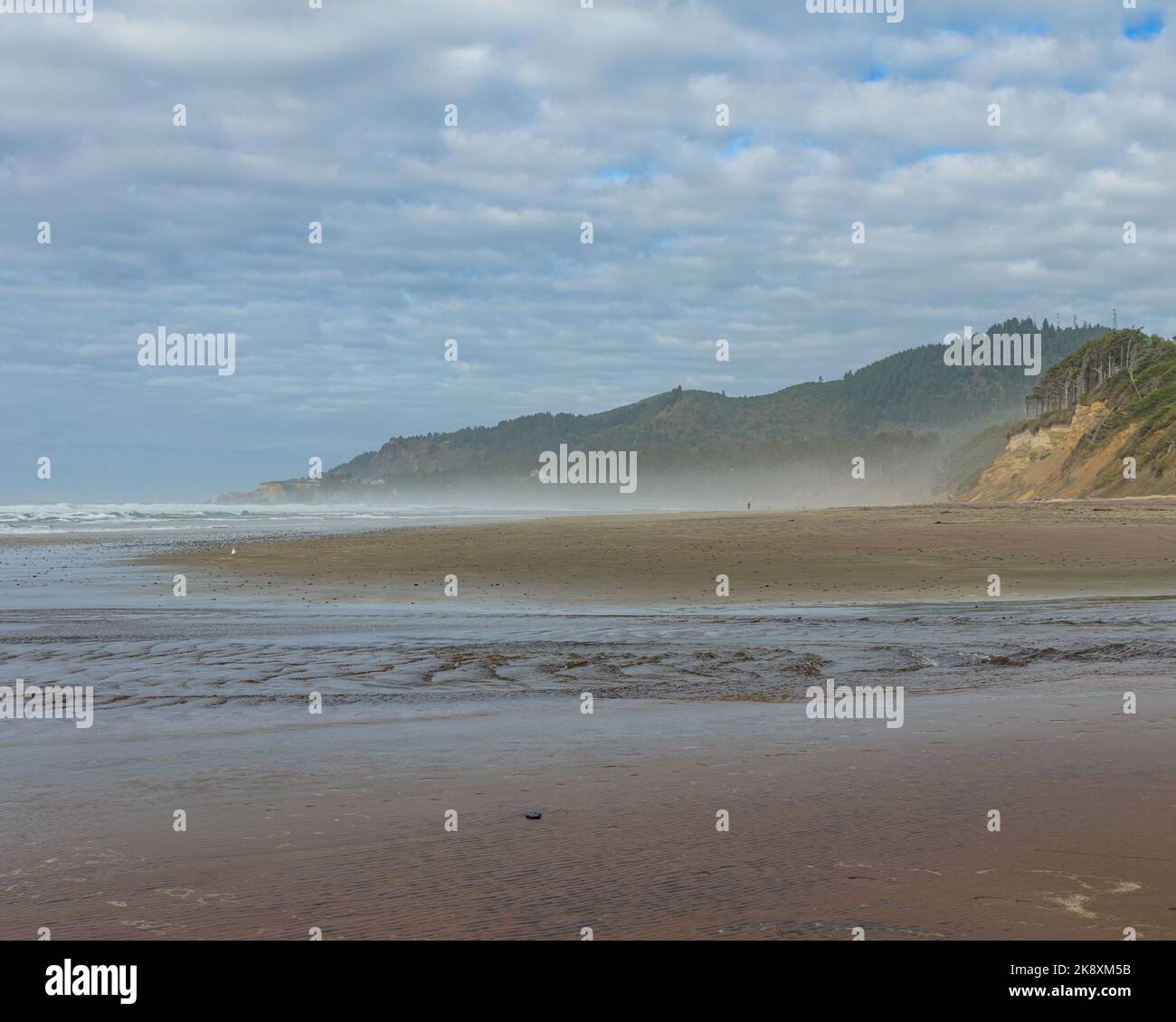 The beautiful and sandy Beverly Beach shore with forested mountains in ...