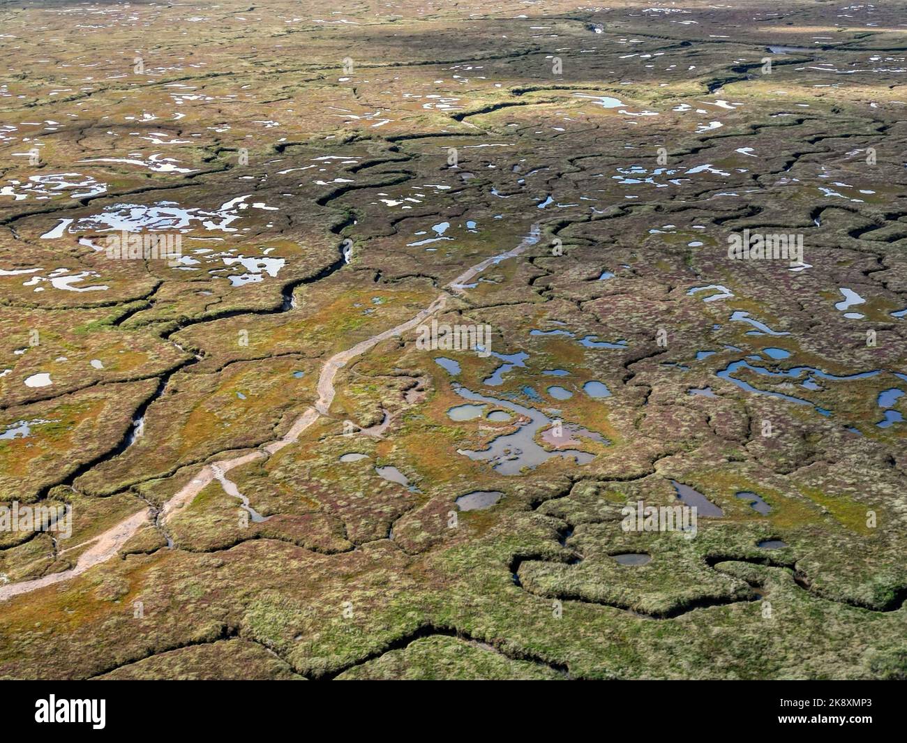 An aerial shot of a green grass meadow with small water ponds in ...