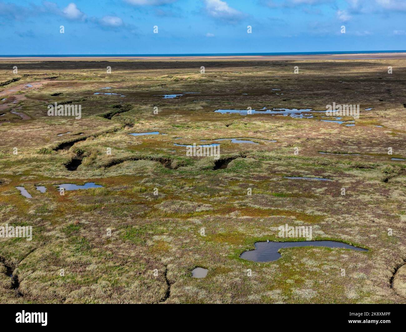 An aerial shot of a green grass meadow with small water ponds in ...