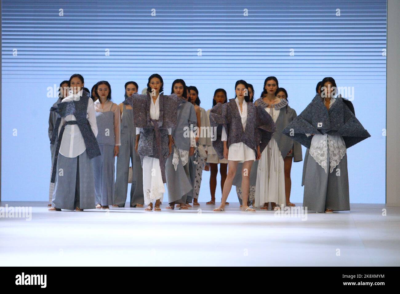 Chitra collection hi-res stock photography and images - Alamy