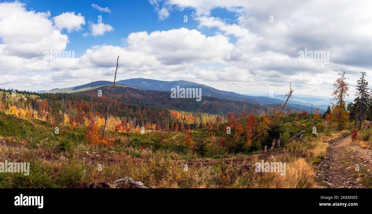Mountains in the fall. Mountain panorama full of autumn colors. Żywiec ...