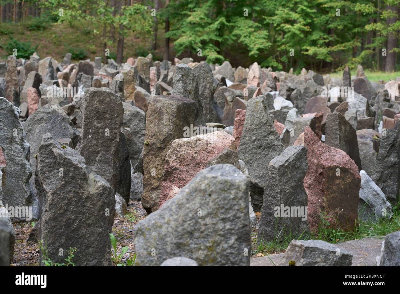 A view of the stones in the burial of the victims of Nazi terror in ...