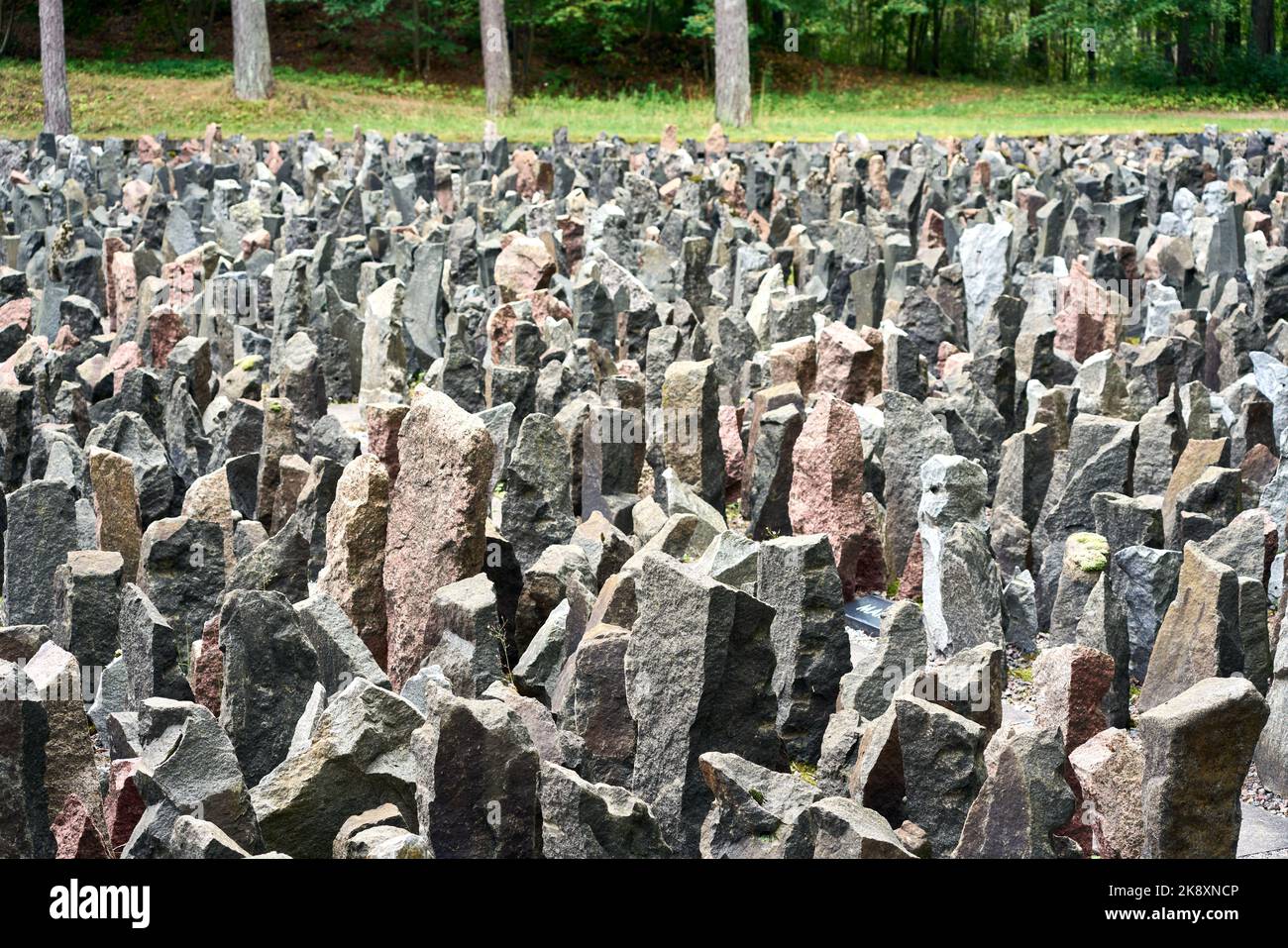 A high-angle view of the stones in the burial of the victims of Nazi ...