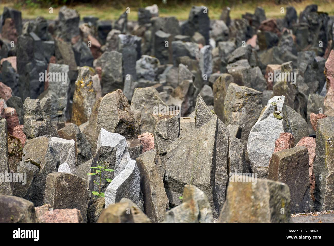 A high-angle view of the stones in the burial of the victims of Nazi ...