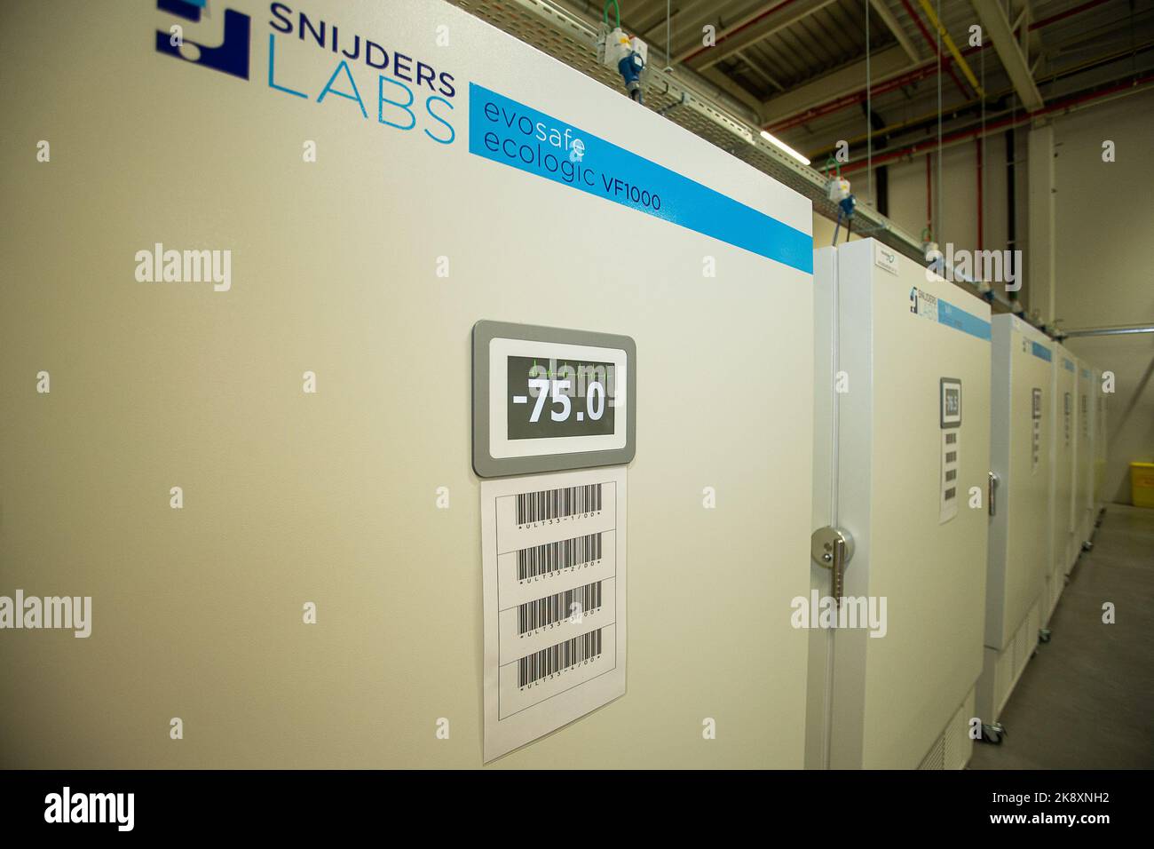 Illustration picture shows the -80 degrees storage containers where the ...