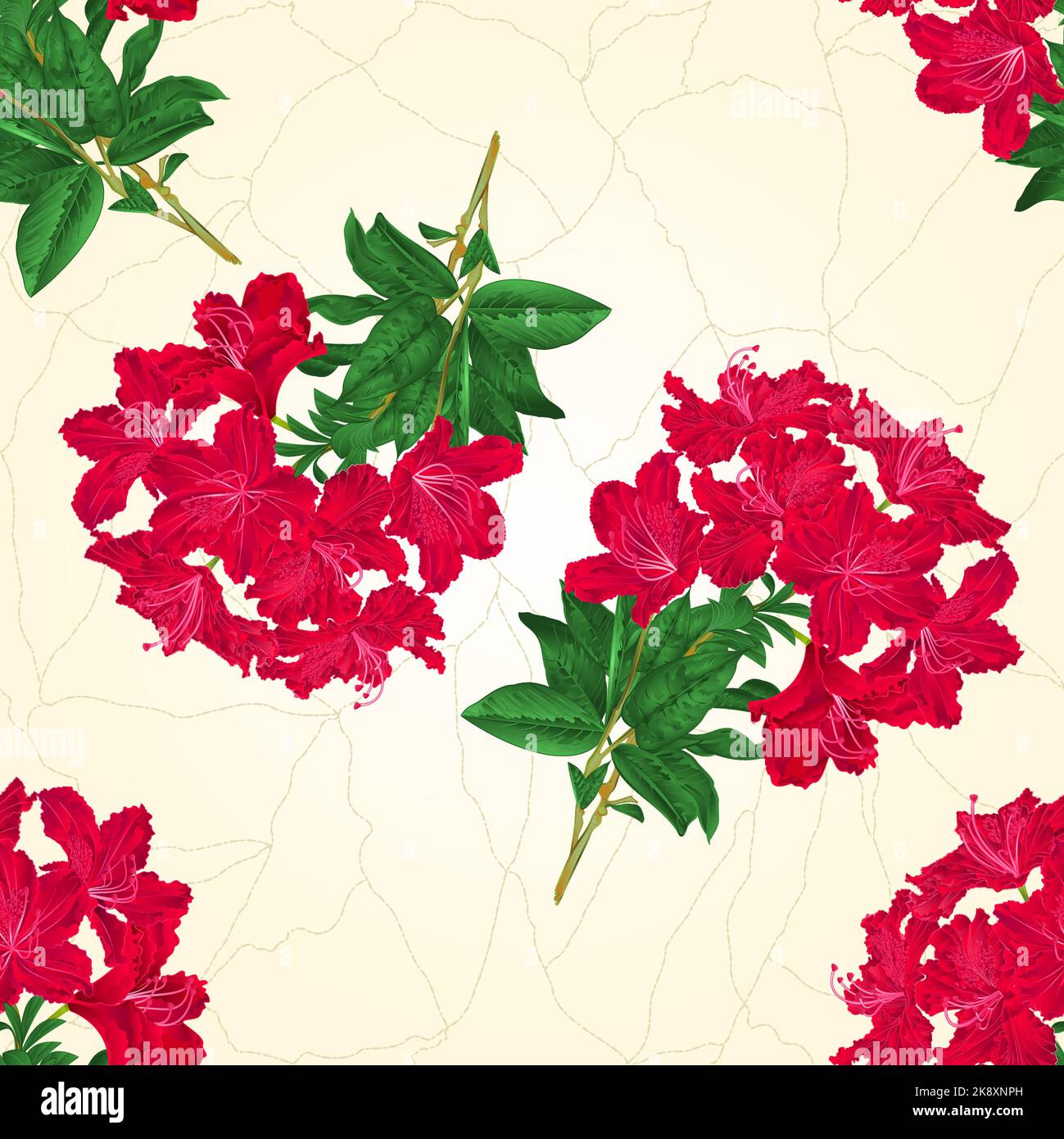 Seamless texture branch red flowers rhododendron vintage vector botanical background ...