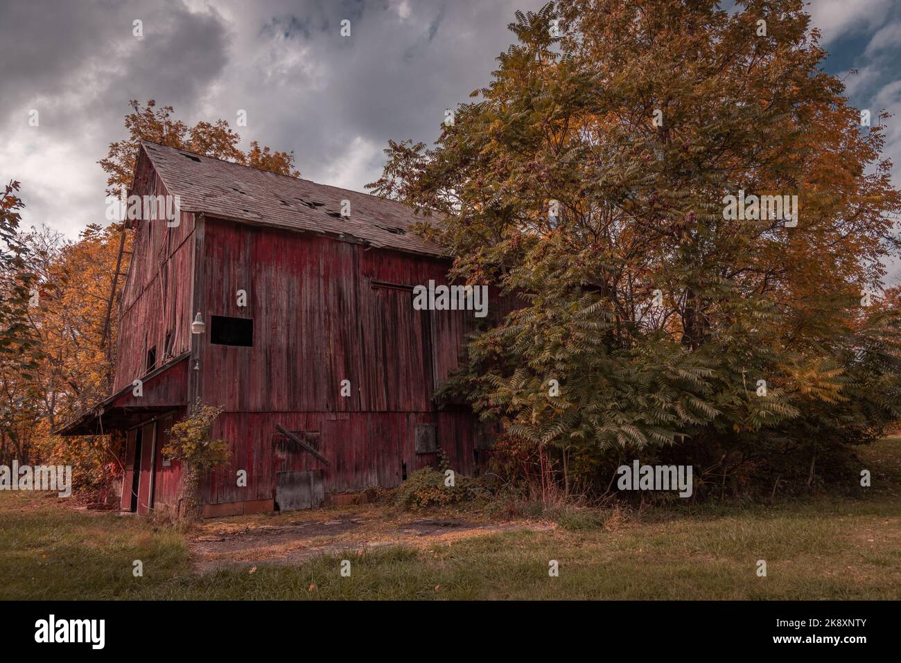 An old barn between trees in autumn season Stock Photo - Alamy