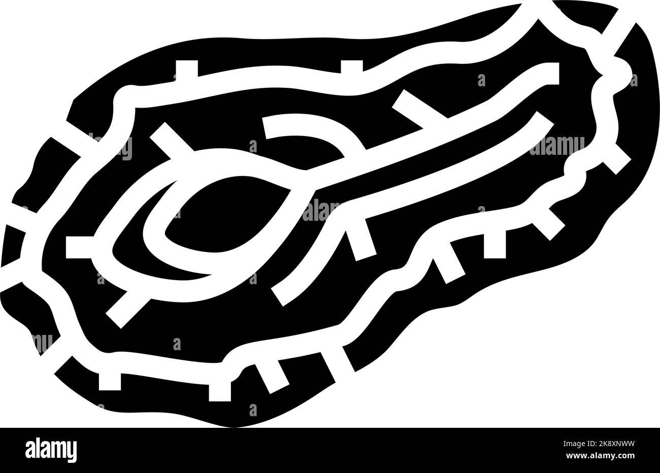 pear dried fruit glyph icon vector illustration Stock Vector Image ...