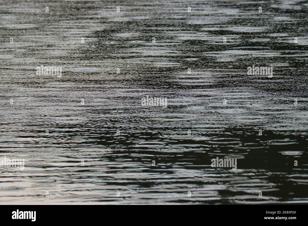 A calm surface of the water with ripples and reflection Stock Photo - Alamy