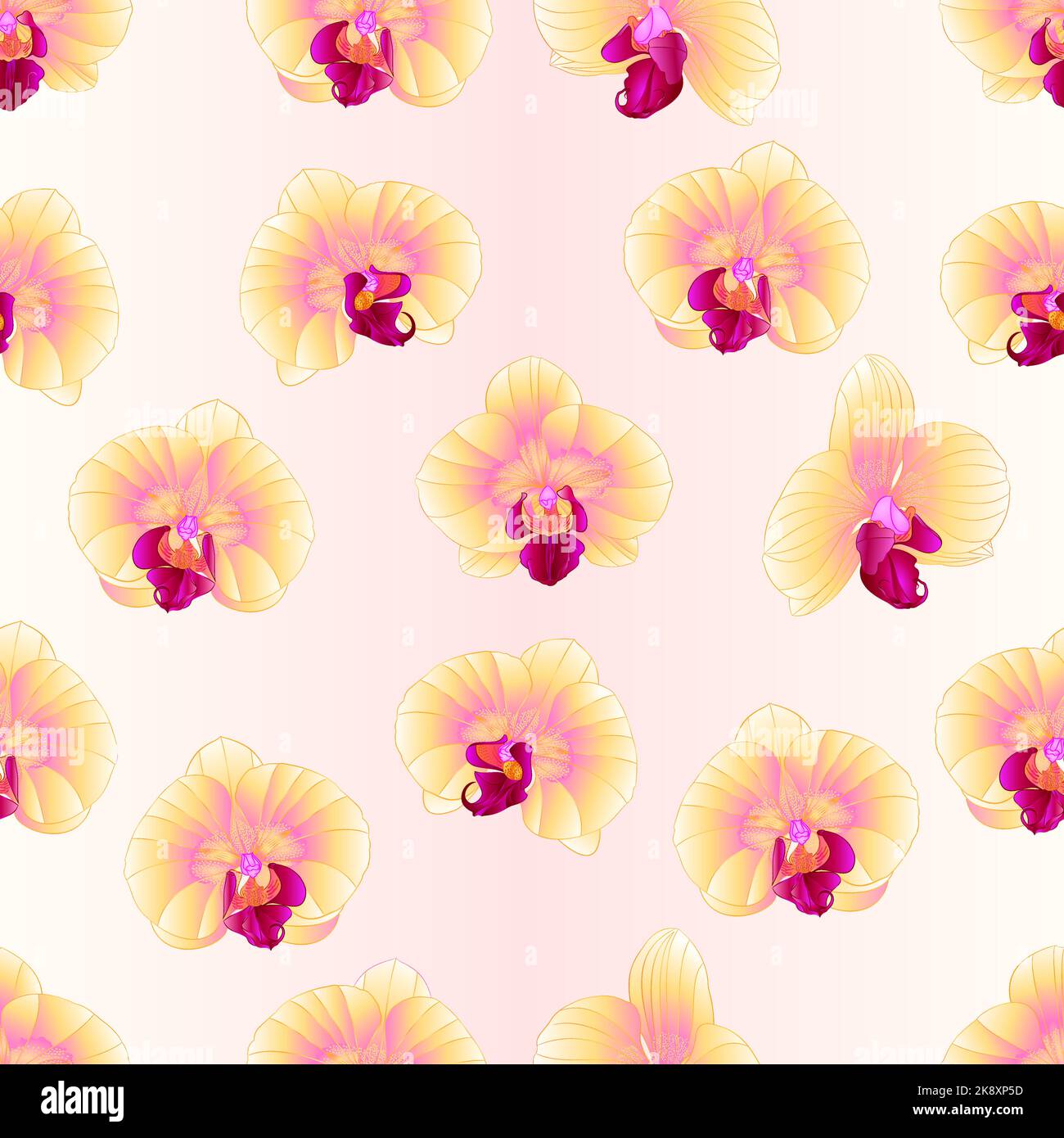 Seamless Texture Yellow Orchids Phalaenopsis Beautiful Flowers Vintage