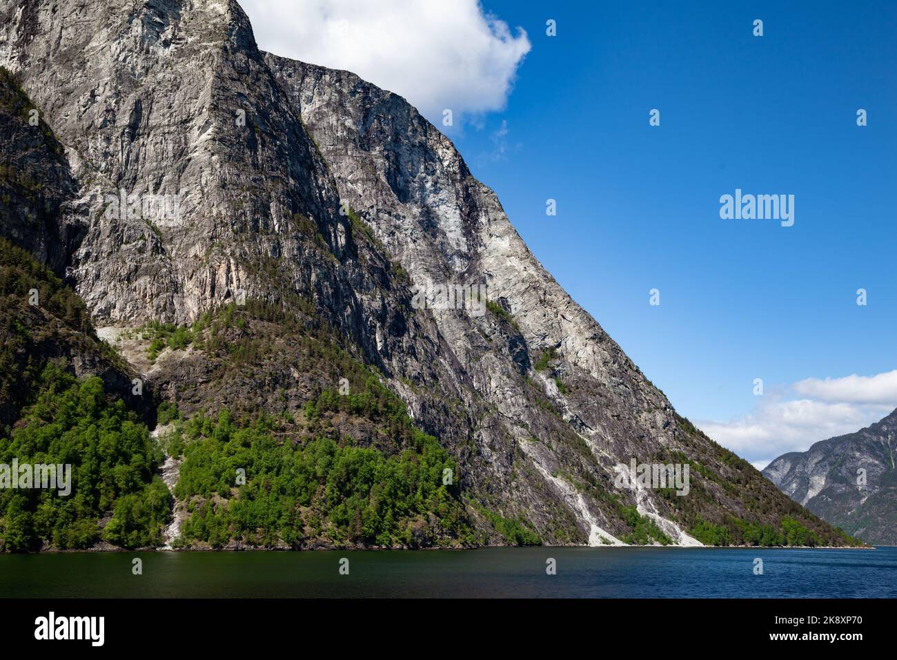 A Narrow Fjord surrounded by mountains covered with trees and stone in ...