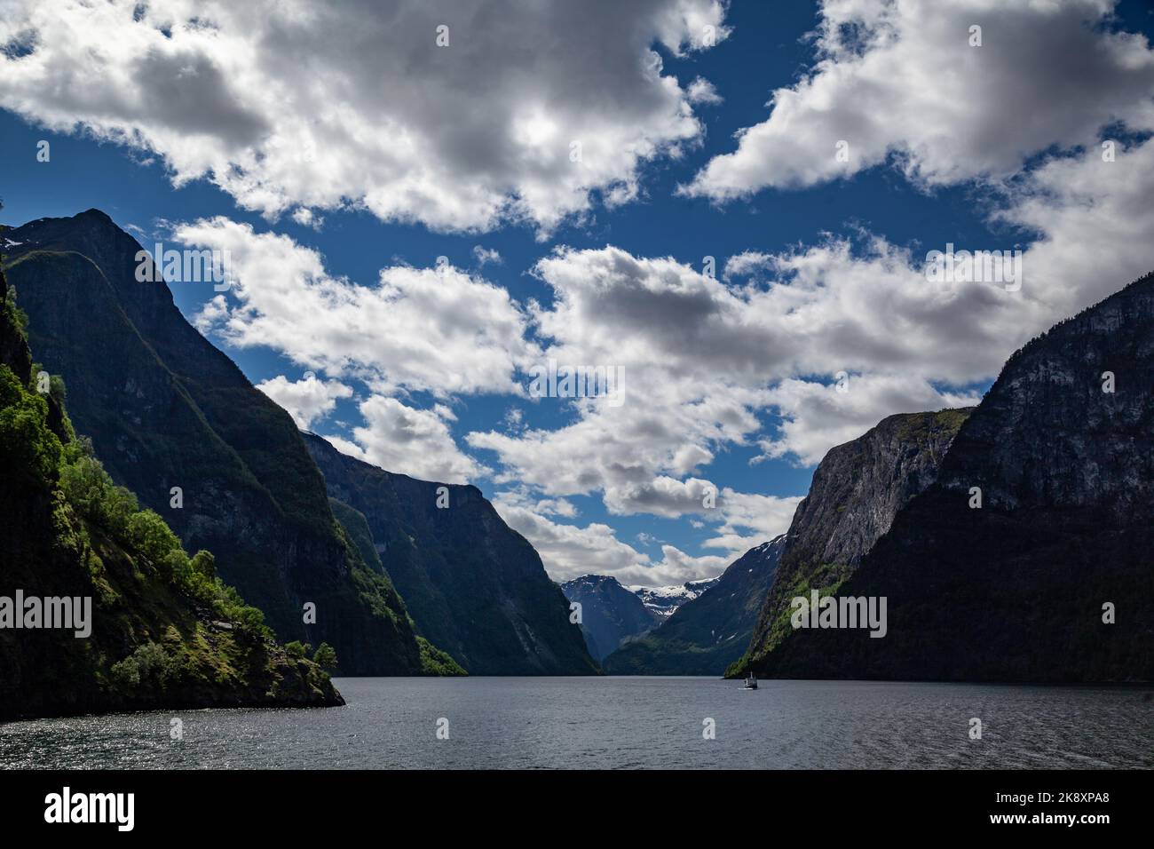 A Narrow Fjord surrounded by mountains covered with trees in Vestland ...