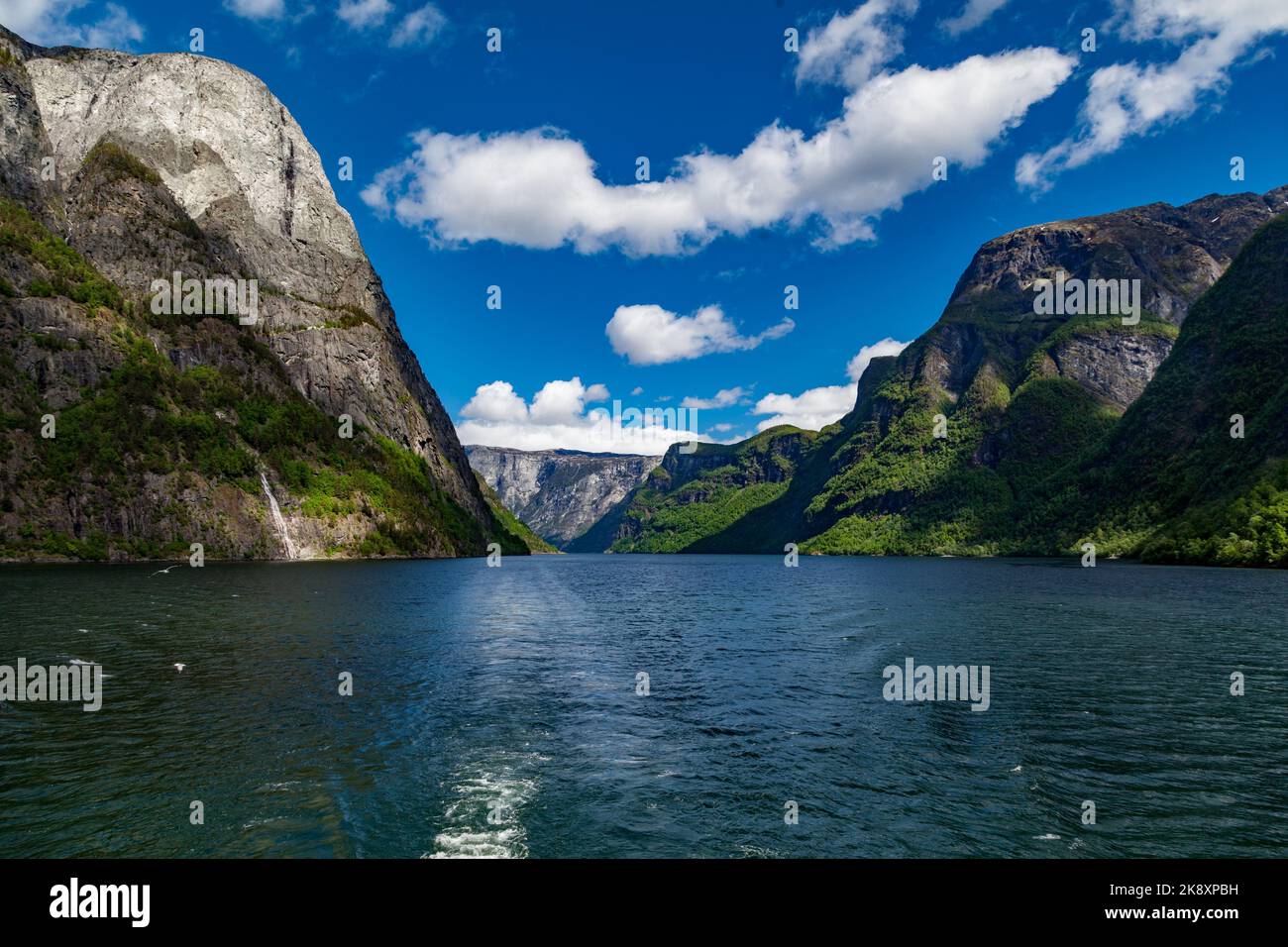 A Narrow Fjord surrounded by mountains covered with trees in Vestland ...