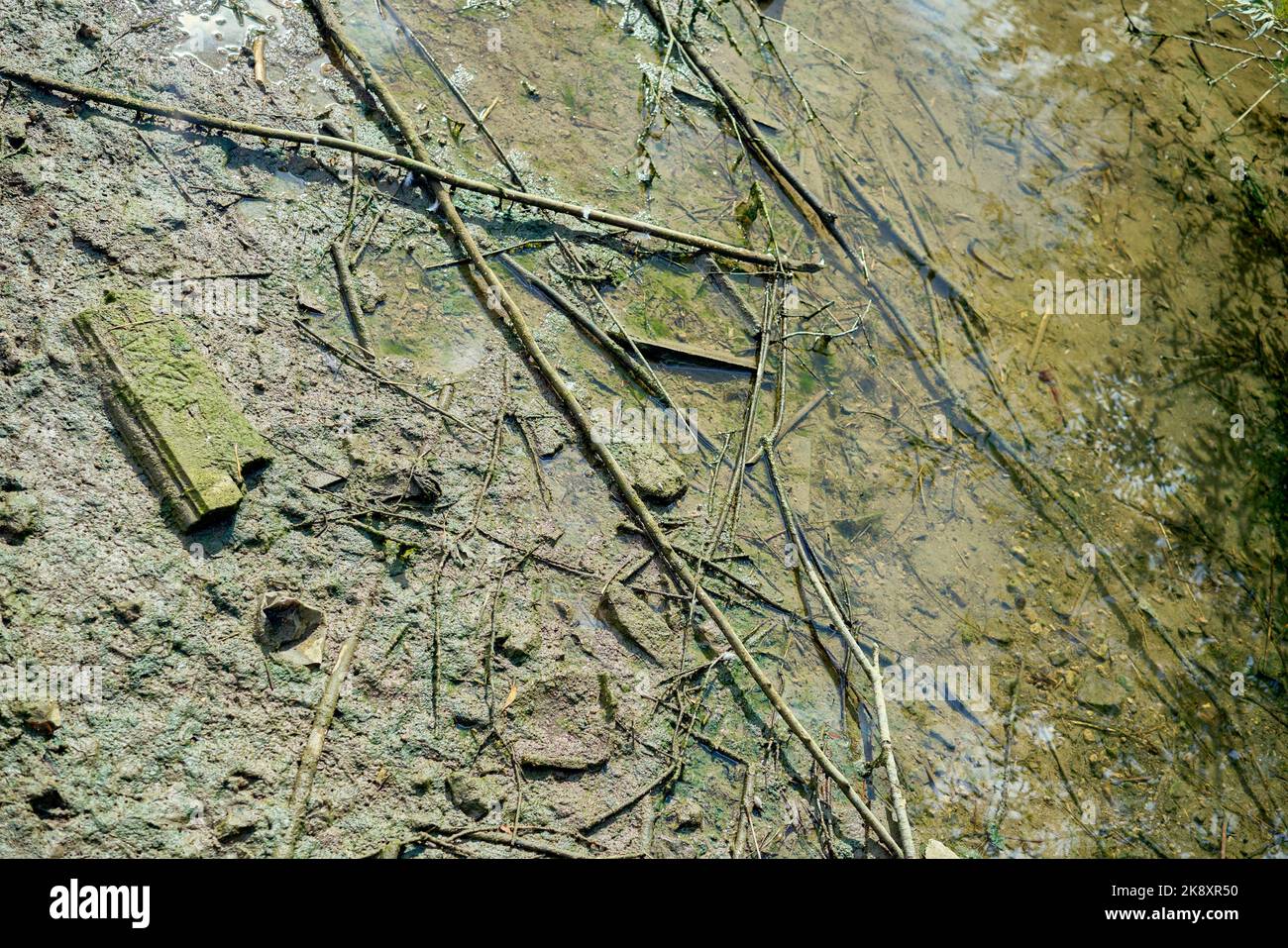 Bottom of a river hi-res stock photography and images - Alamy