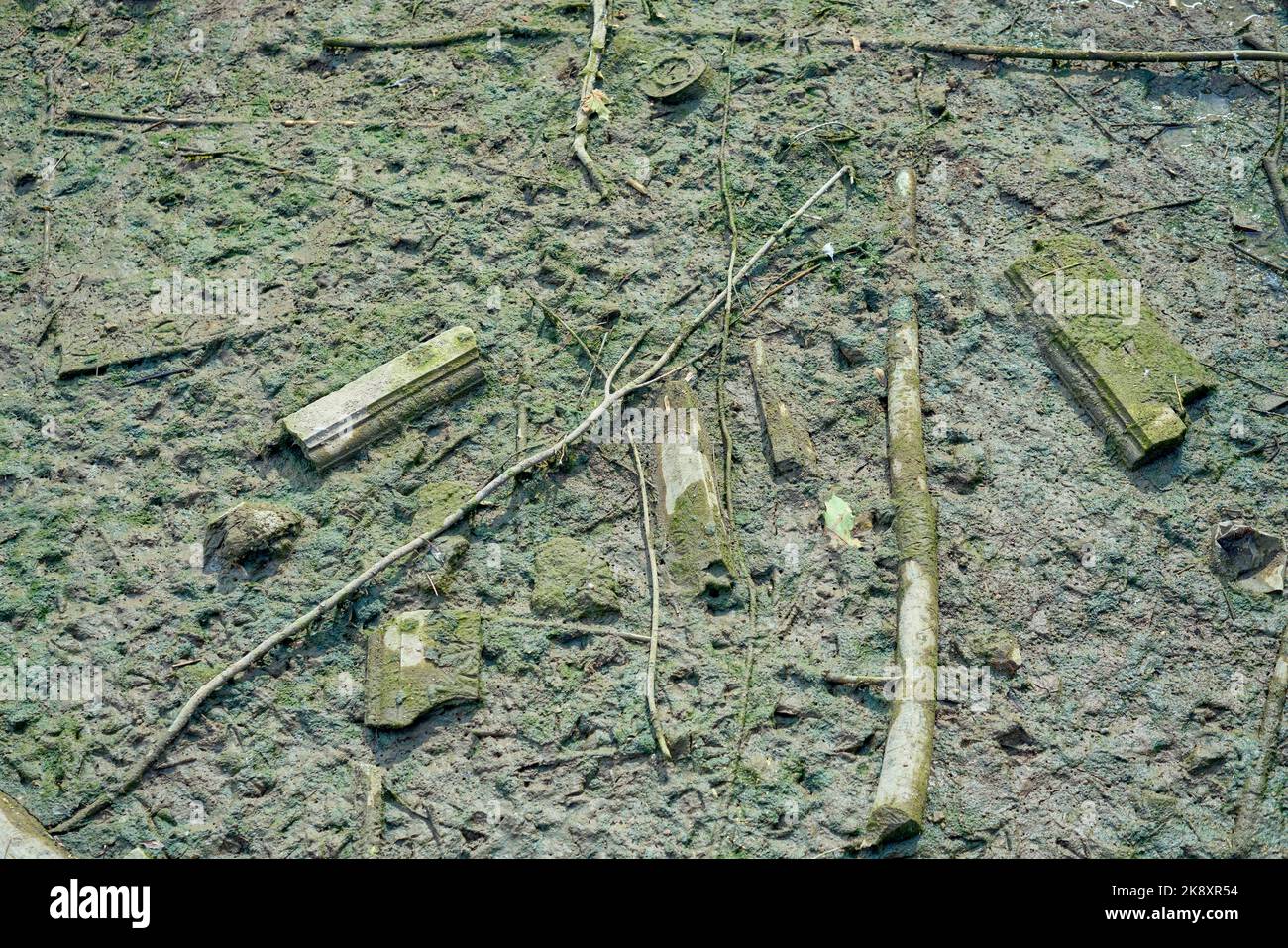 Bottom of a river hi-res stock photography and images - Alamy