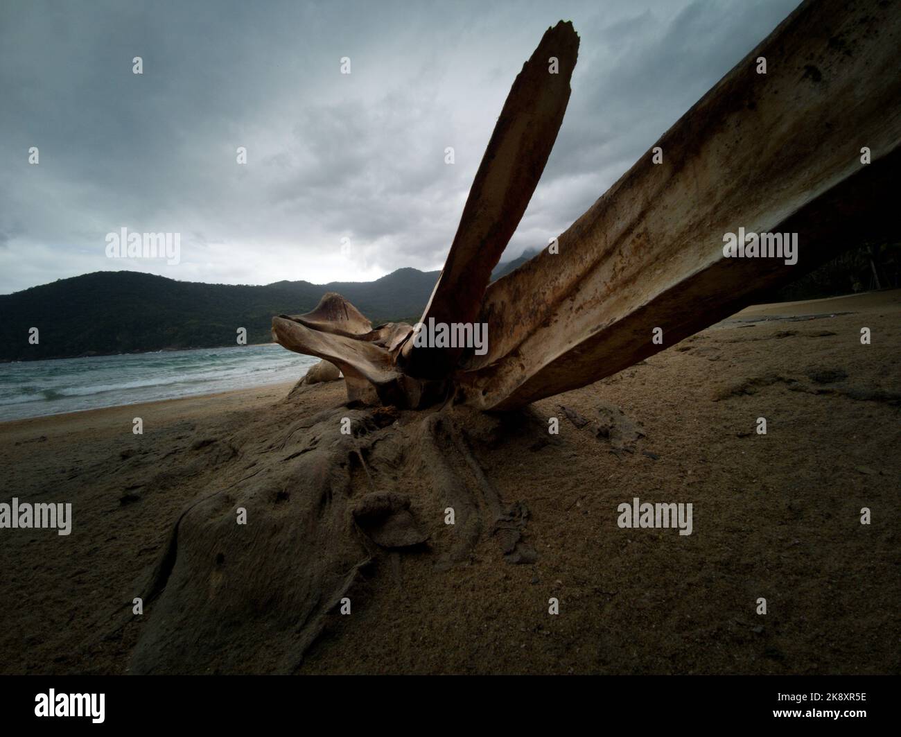 Metal pieces on beach hi-res stock photography and images - Alamy