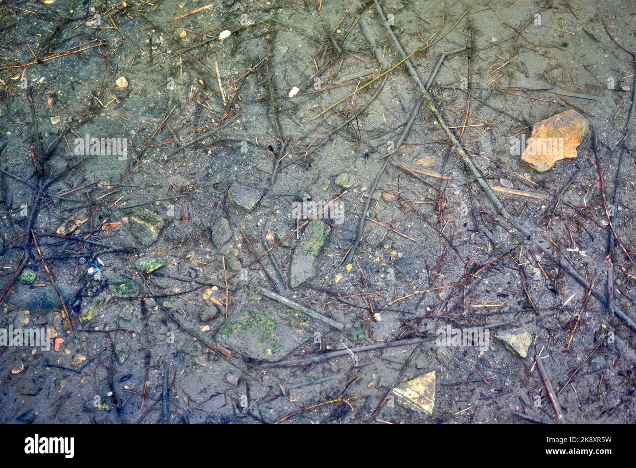 Bottom of a river hi-res stock photography and images - Alamy