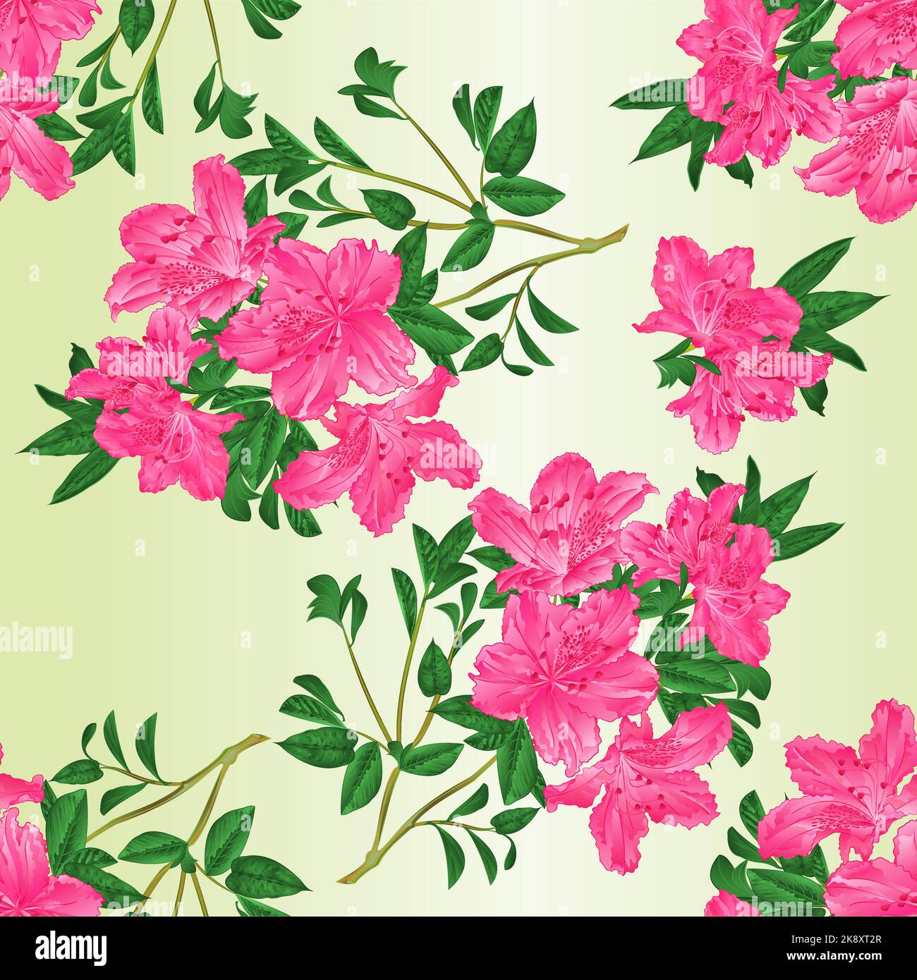 Seamless texture twig pink rhododendron with flowers and leaves vintage ...