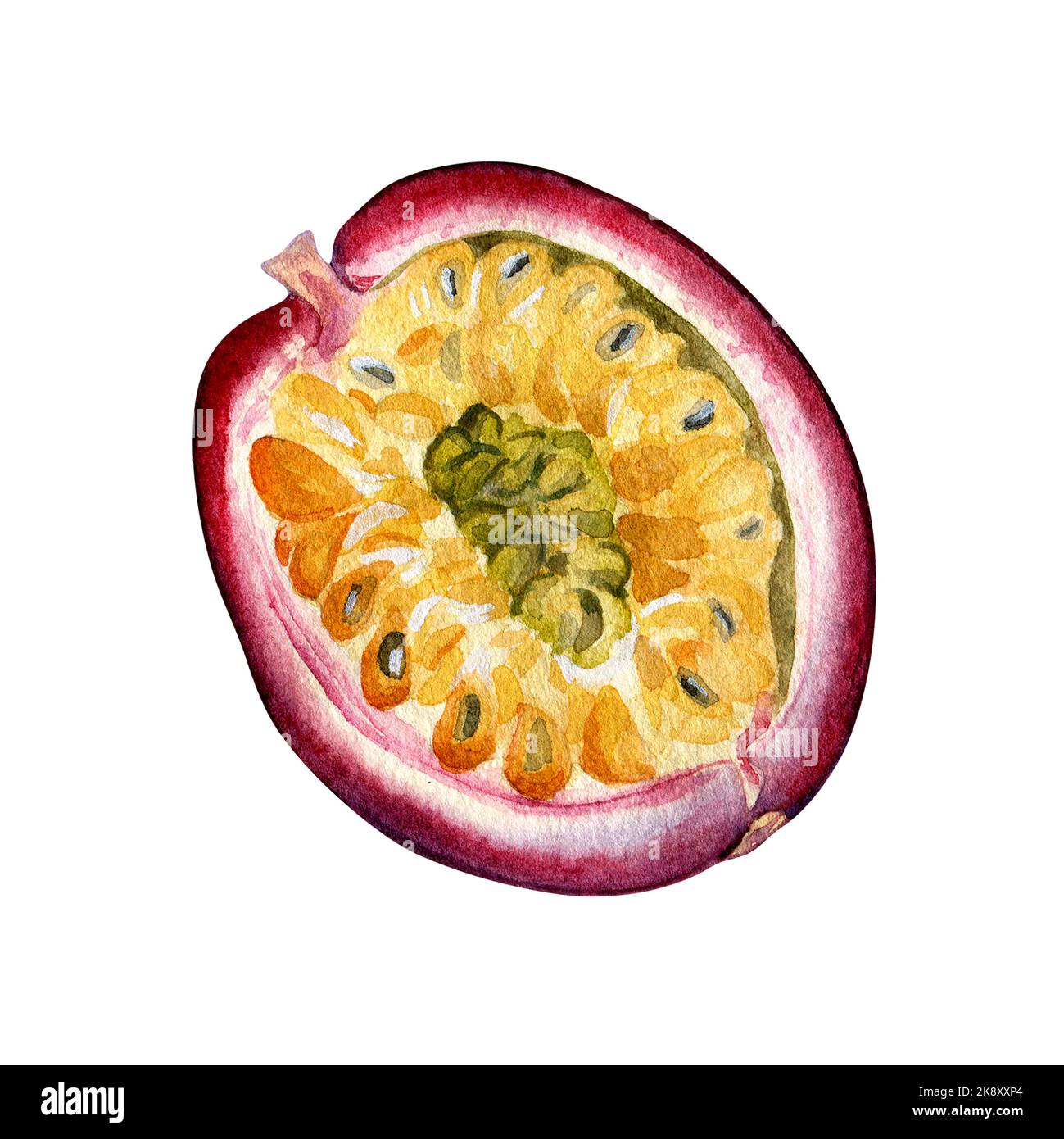 Sliced Passion Fruit Watercolor Illustration Isolated On White