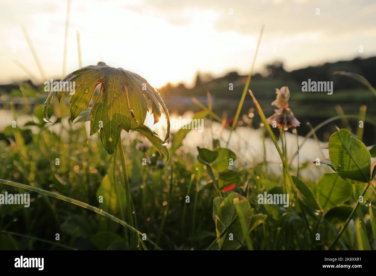 Raw nature hi-res stock photography and images - Alamy