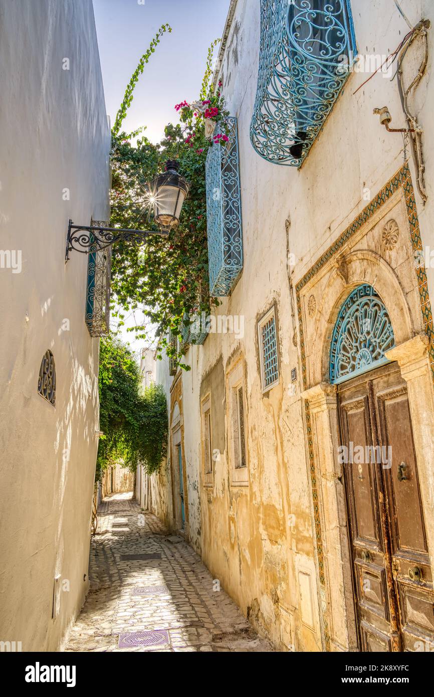 Skyline tunis traditional architecture hi-res stock photography and ...