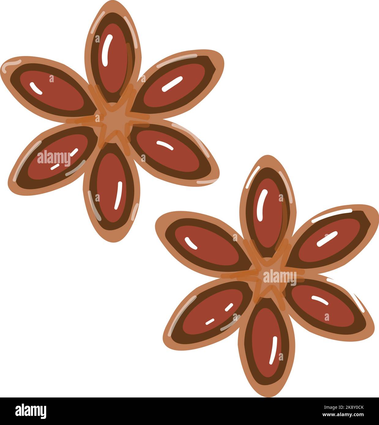 Anise icon cartoon vector. Mulled wine Stock Vector Image & Art - Alamy