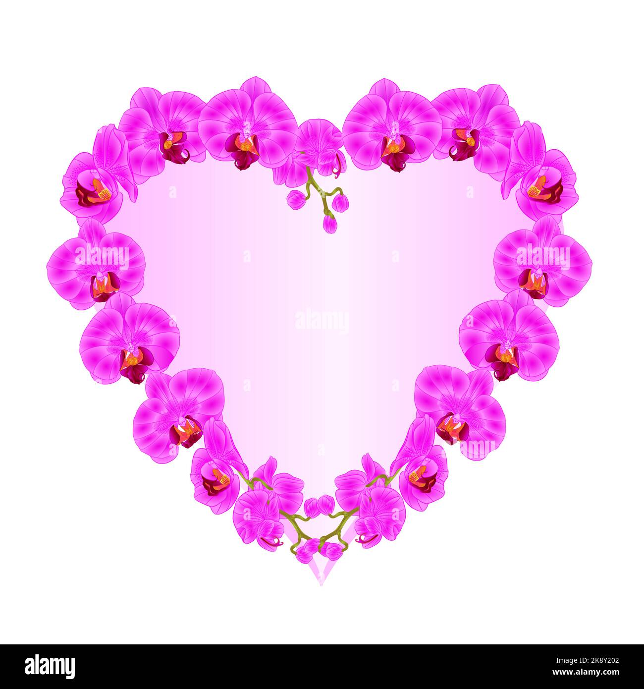 Border Heart shaped orchid Phalaenopsis purple flowers tropical plants ...
