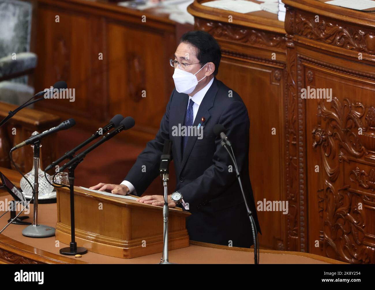 Tokyo, Japan. 25th Oct, 2022. Japanese Prime Minister Fumio Kishida delivers a speech as his ...