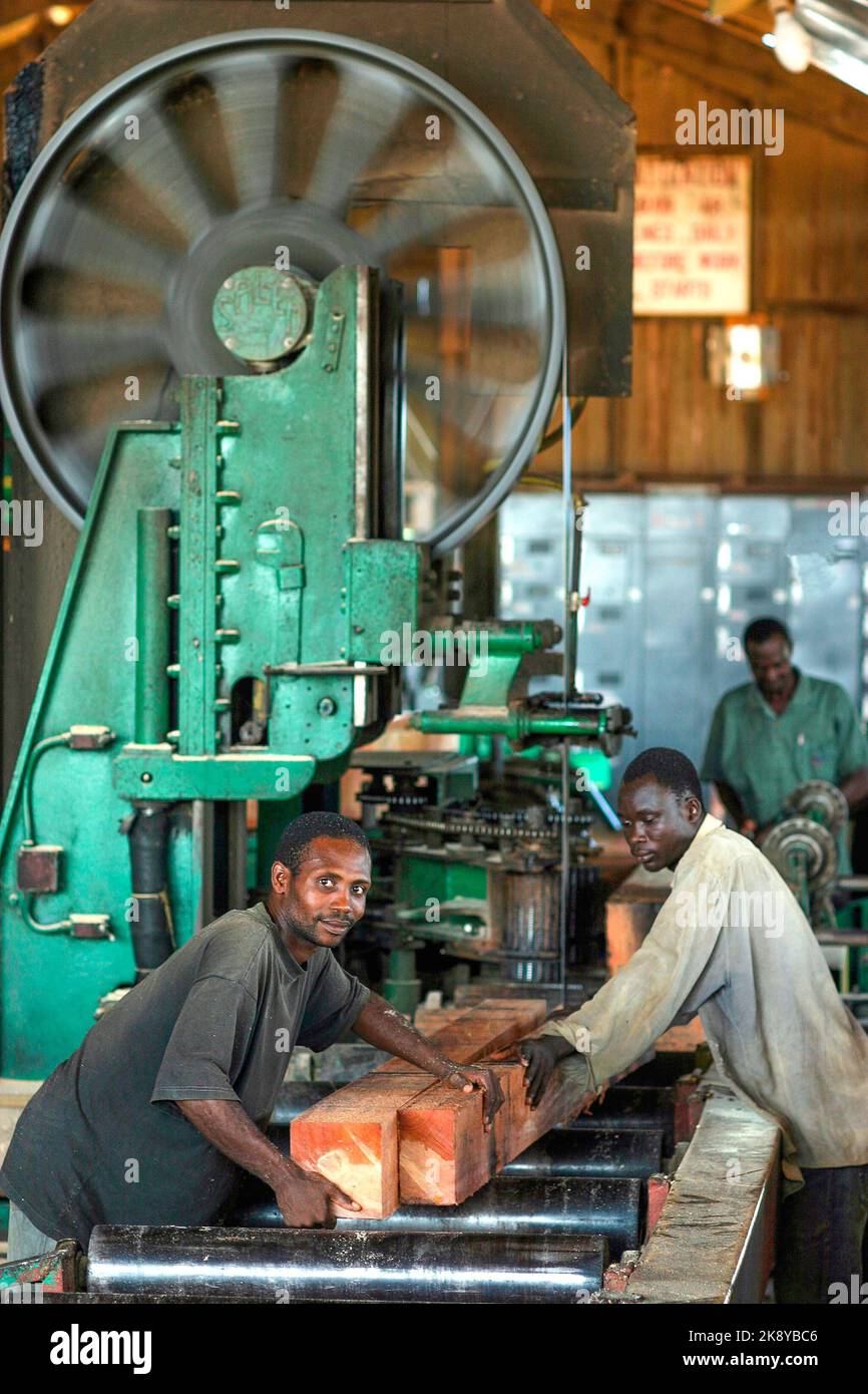 Ghana, Takoradi. Factory workers of Dupaul Lumber Export. Production ...