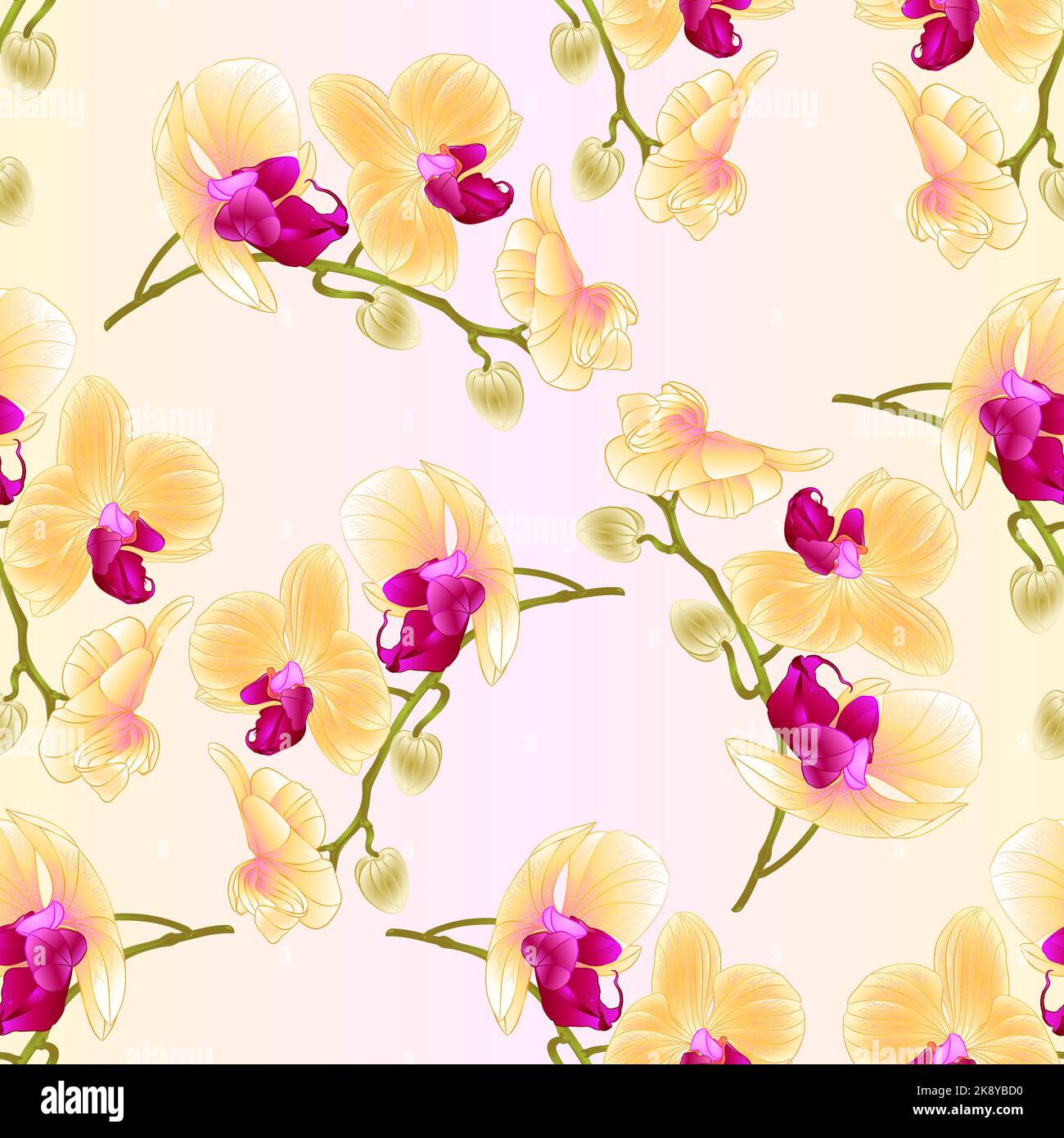 Seamless texture beautiful Orchid Yellow stem with flowers and buds ...