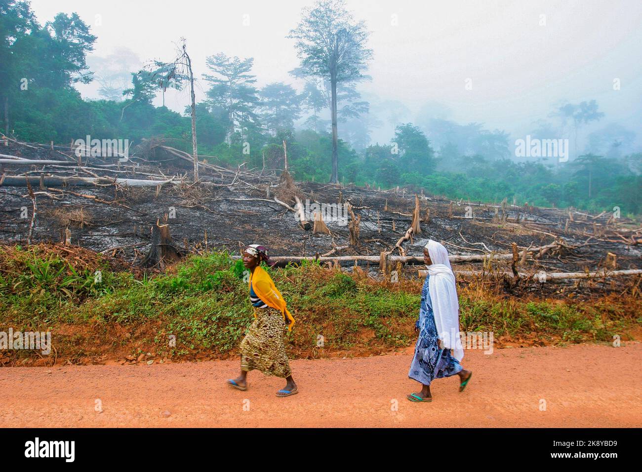 Ghana, Tarkwa. Erosion of rainforest because of slash and burn ...