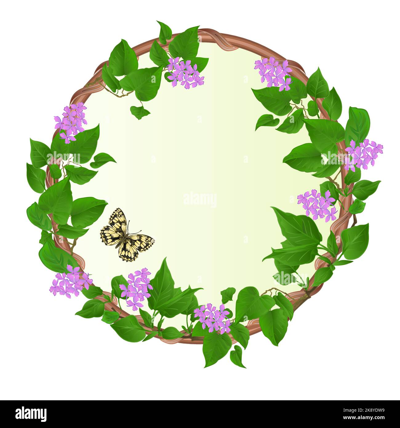 Round robin background Stock Vector Images - Alamy