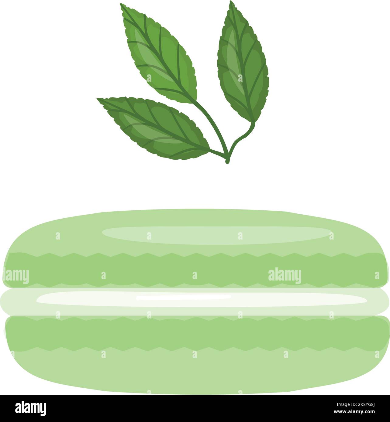 Mint macaroon icon cartoon vector. French cookie Stock Vector Image ...