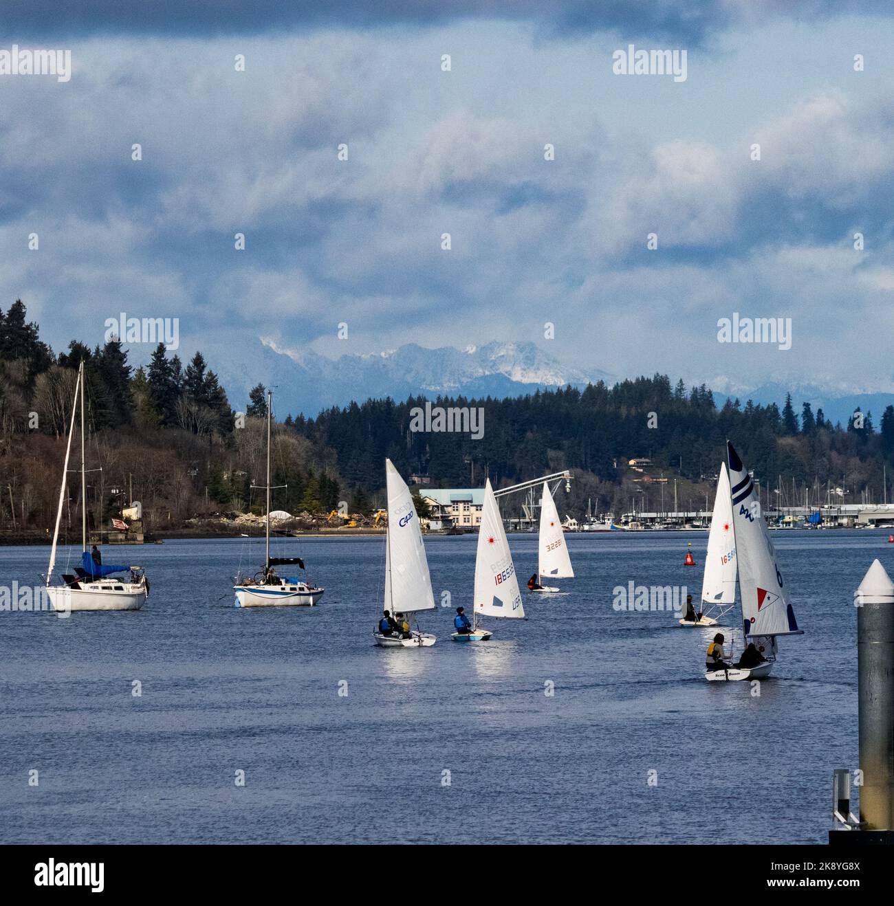 A sail boating class in Port Orchard, Washington, USA Stock Photo - Alamy