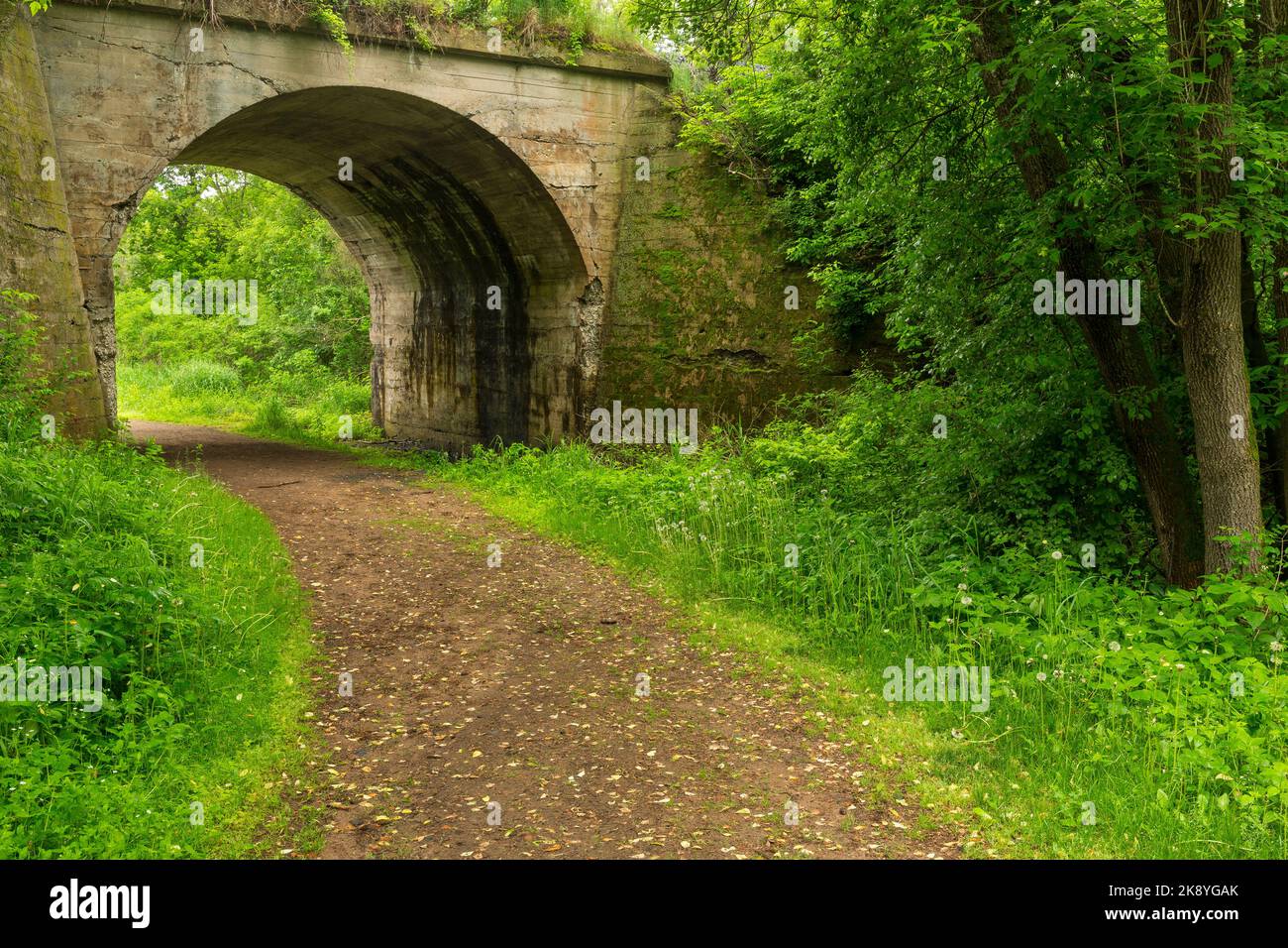 A hiking trail passing through an arch bridge in the woods Stock Photo ...