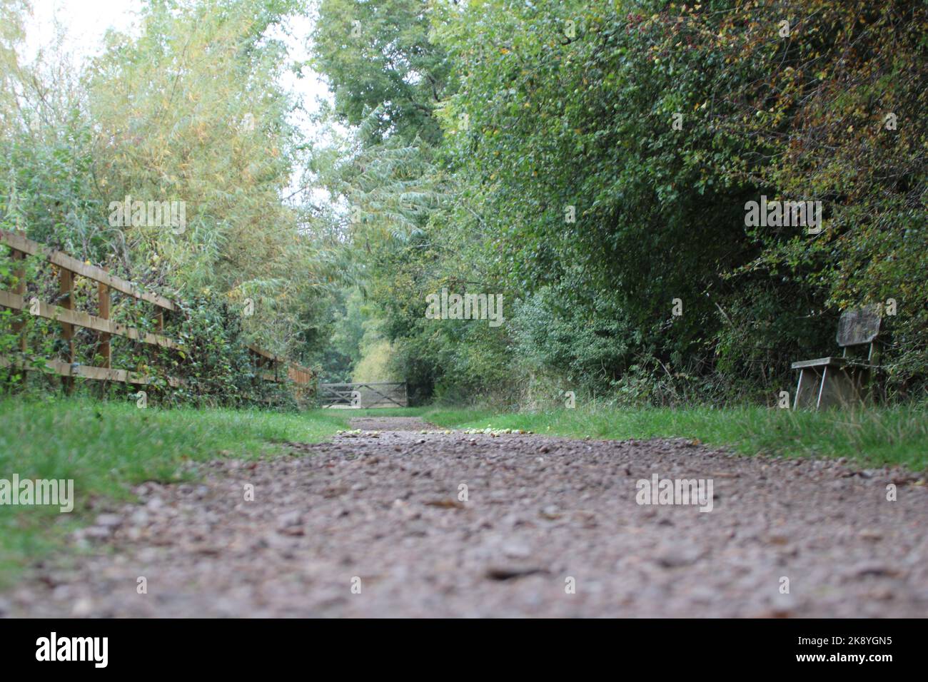 A path surrounded by dense trees and wooden fence Stock Photo - Alamy