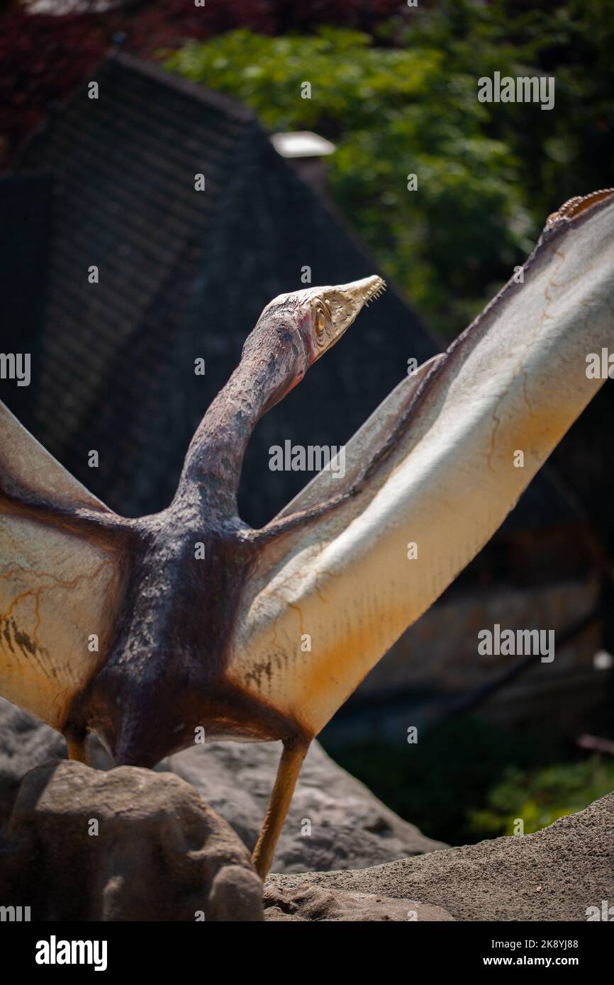 A vertical shot of a model of a cute baby pterodactyl with spread ...
